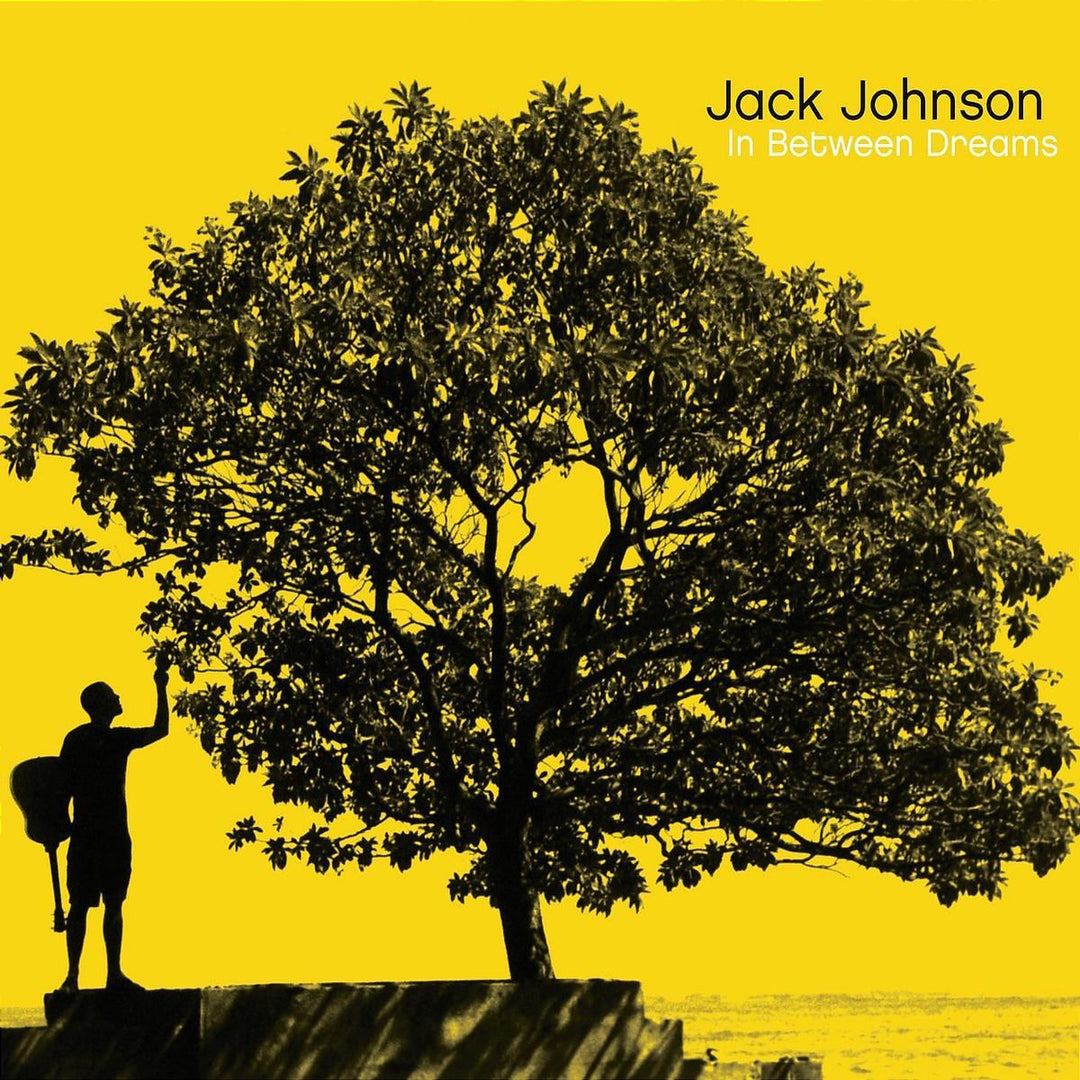 Jack Johnson - In Between Dreams LP – BridgeSet Sound